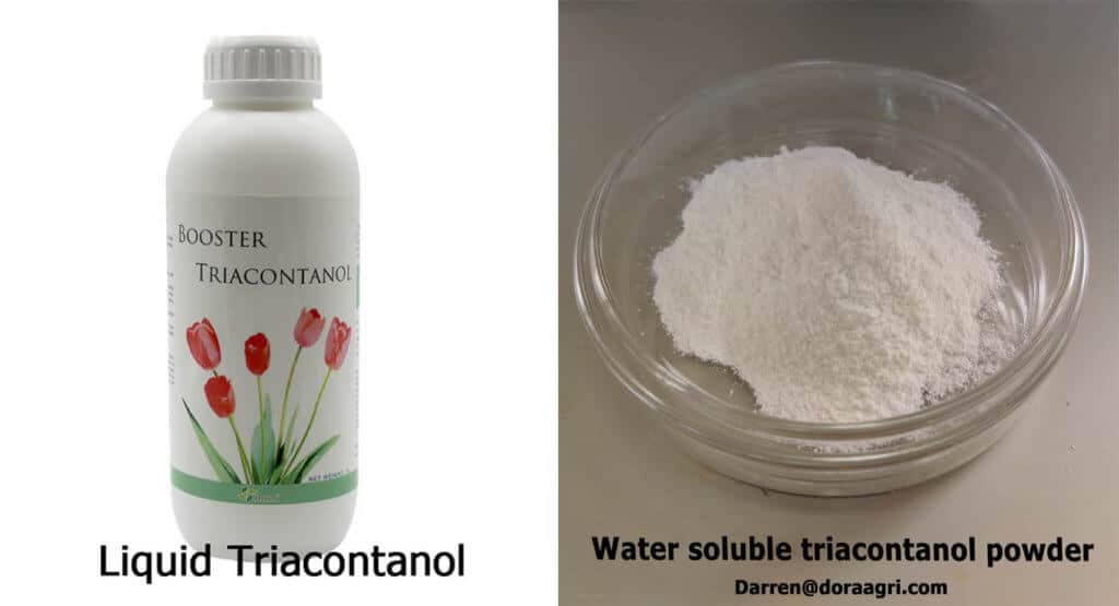 Triacontanol Products - Water Soluble Liquid & Powder | Supplier & Export