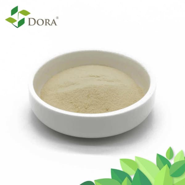 OMRI Compound Amino Acid Fertilizer Powder | Supplier & Manufacturer