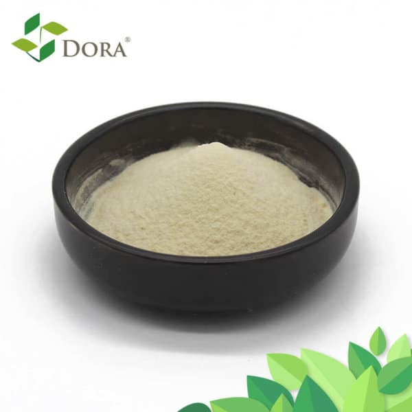 OMRI Compound Amino Acid Fertilizer Powder | Supplier & Manufacturer