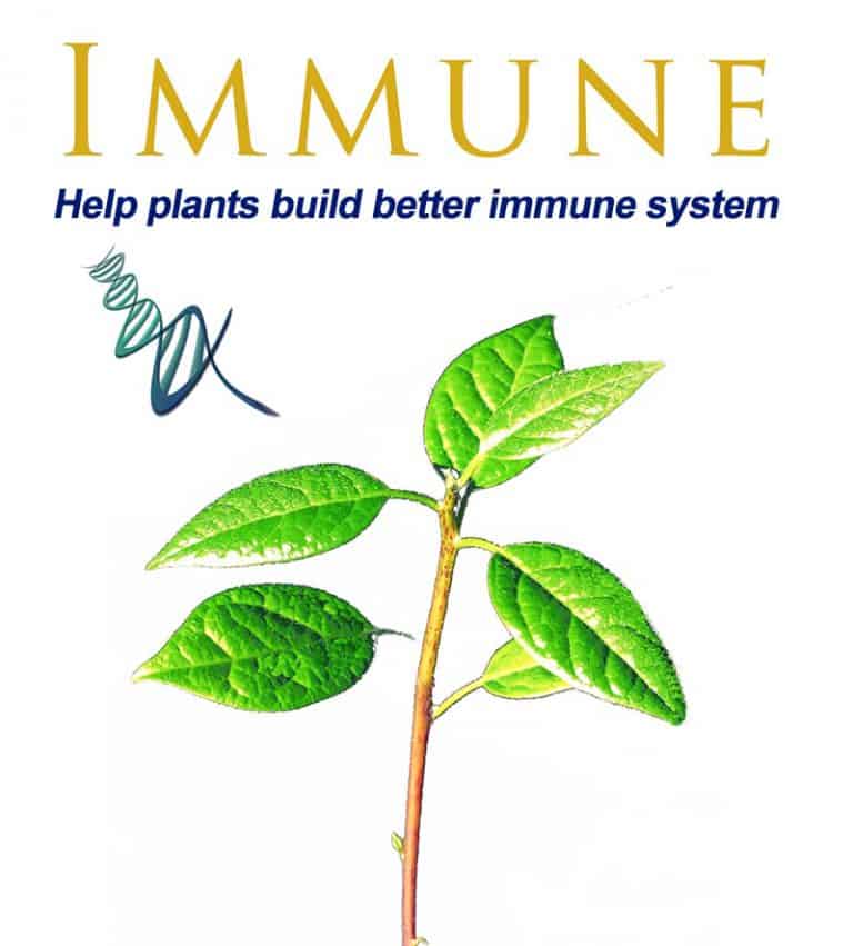 Harpin Protein Plant Elicitor | Dora Agri