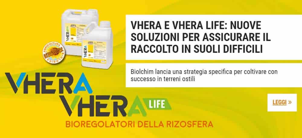 Top 20 Companies in Biostimulants Market - Dora Agri-Tech