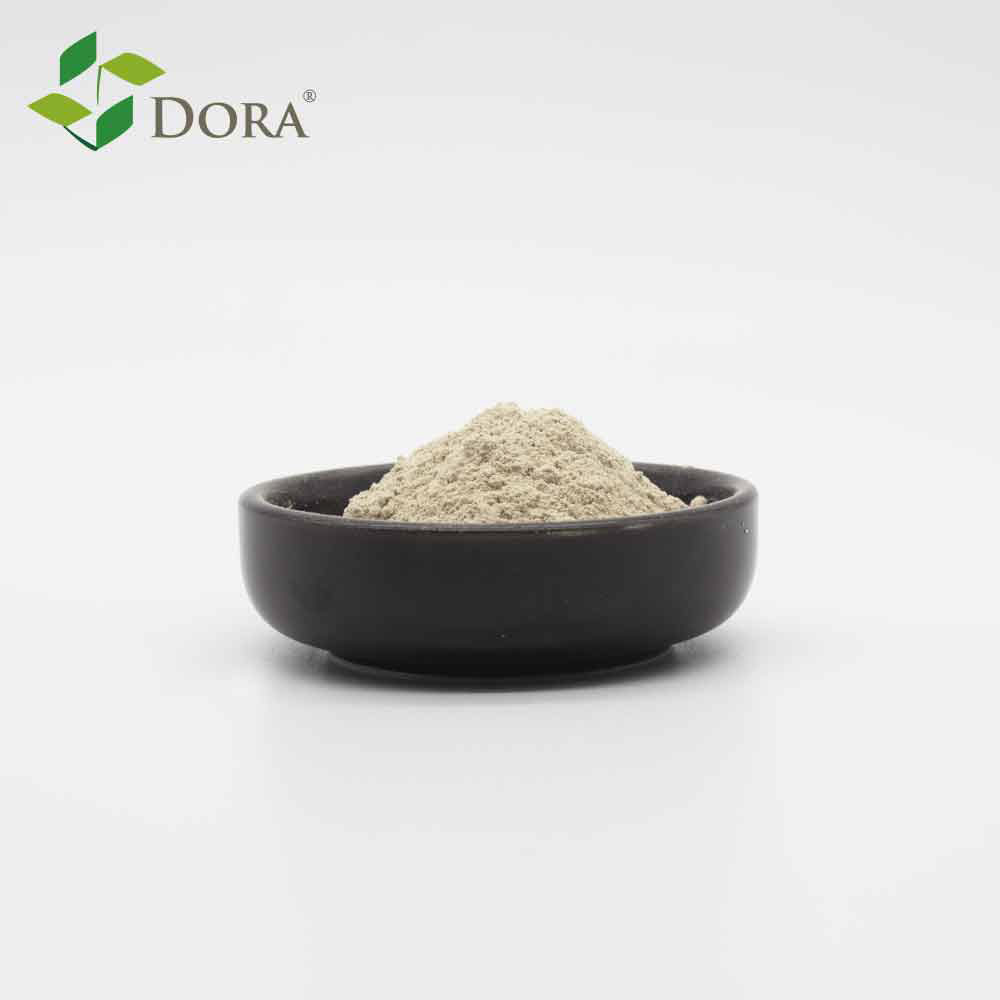 Biological Insecticide Bacillus Thuringiensis Powder 1KG 20KG