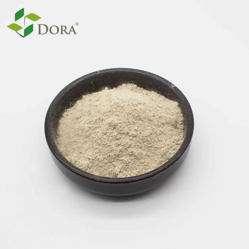 Biological Insecticide Bacillus Thuringiensis Powder 1KG 20KG