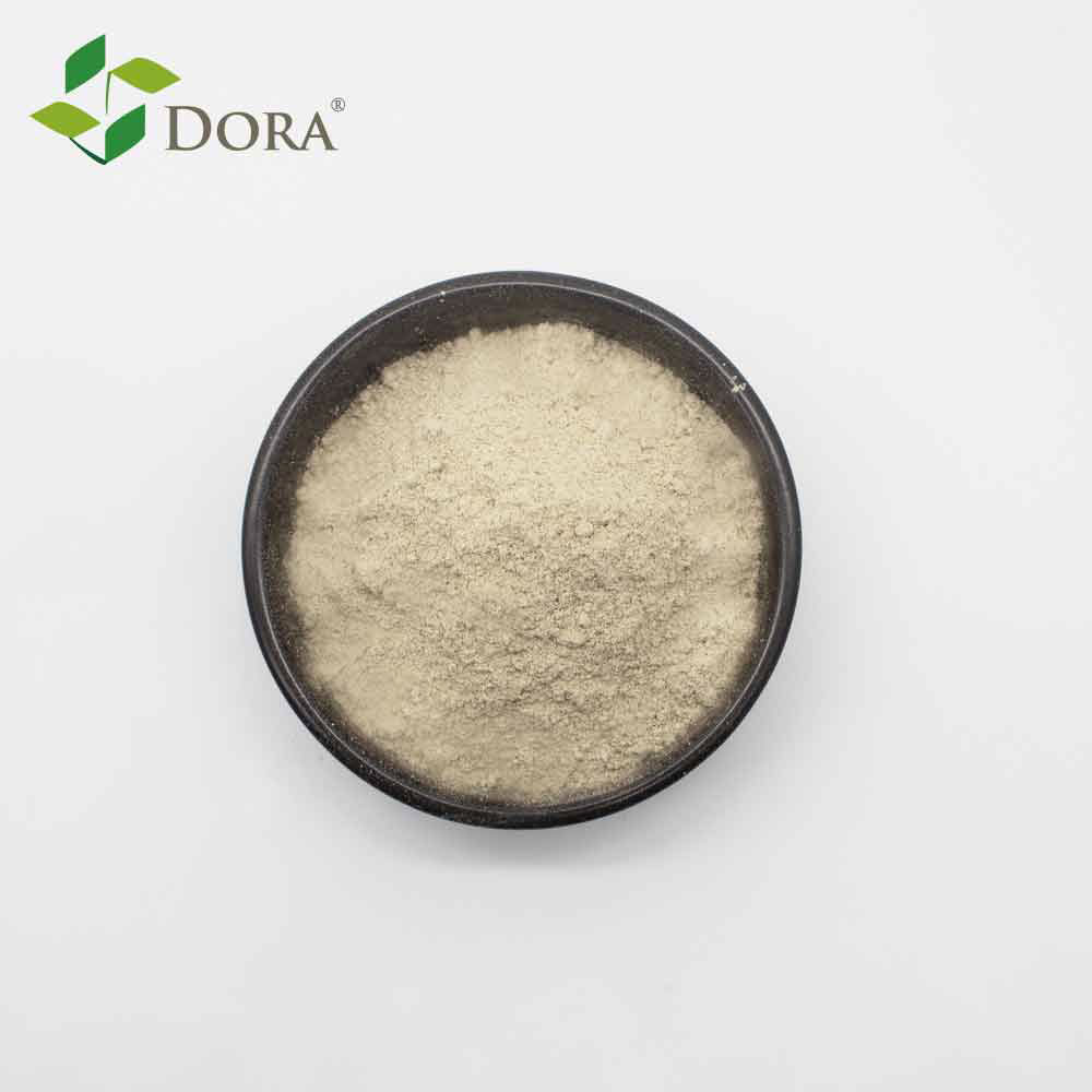 Biological Insecticide Bacillus Thuringiensis Powder 1KG 20KG