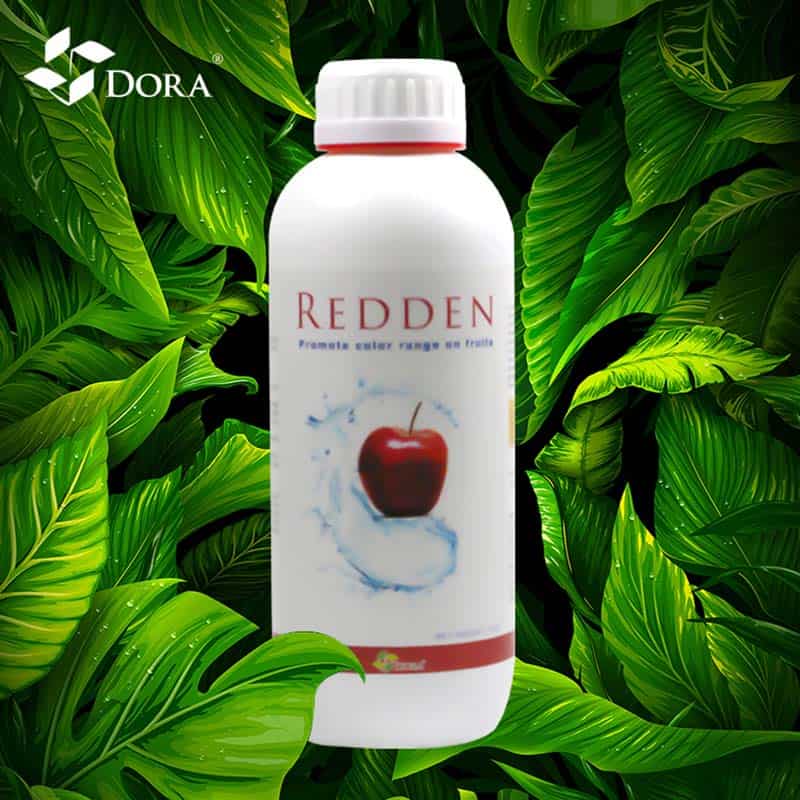 Propyl Dihydrojasmonate (PDJ) Prohydrojasmon Fruit Color Enhancement