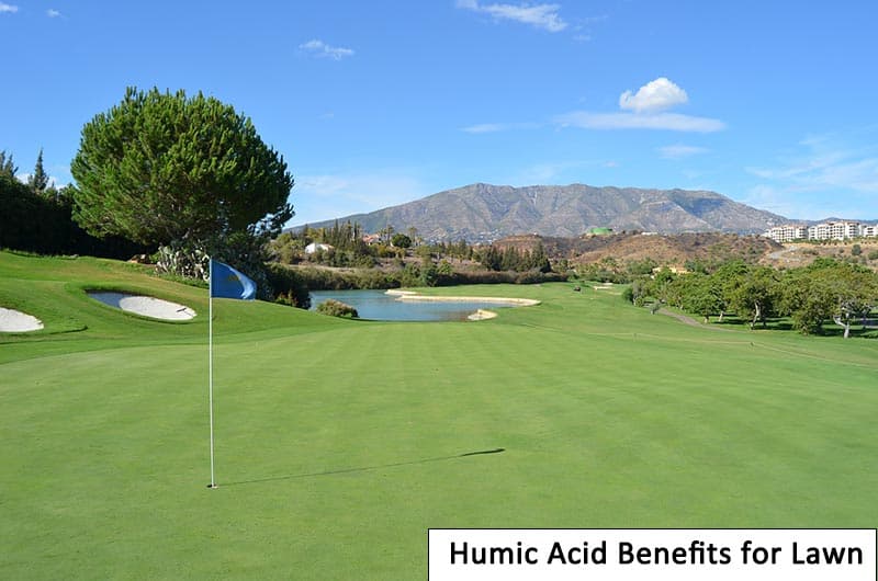 Humic Acid Humates Application for Lawns | Dora Agri