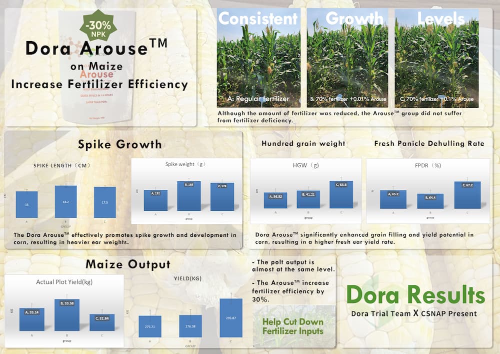 Dora Arouse Helps Reducing Fertilizer Inputs by 30%