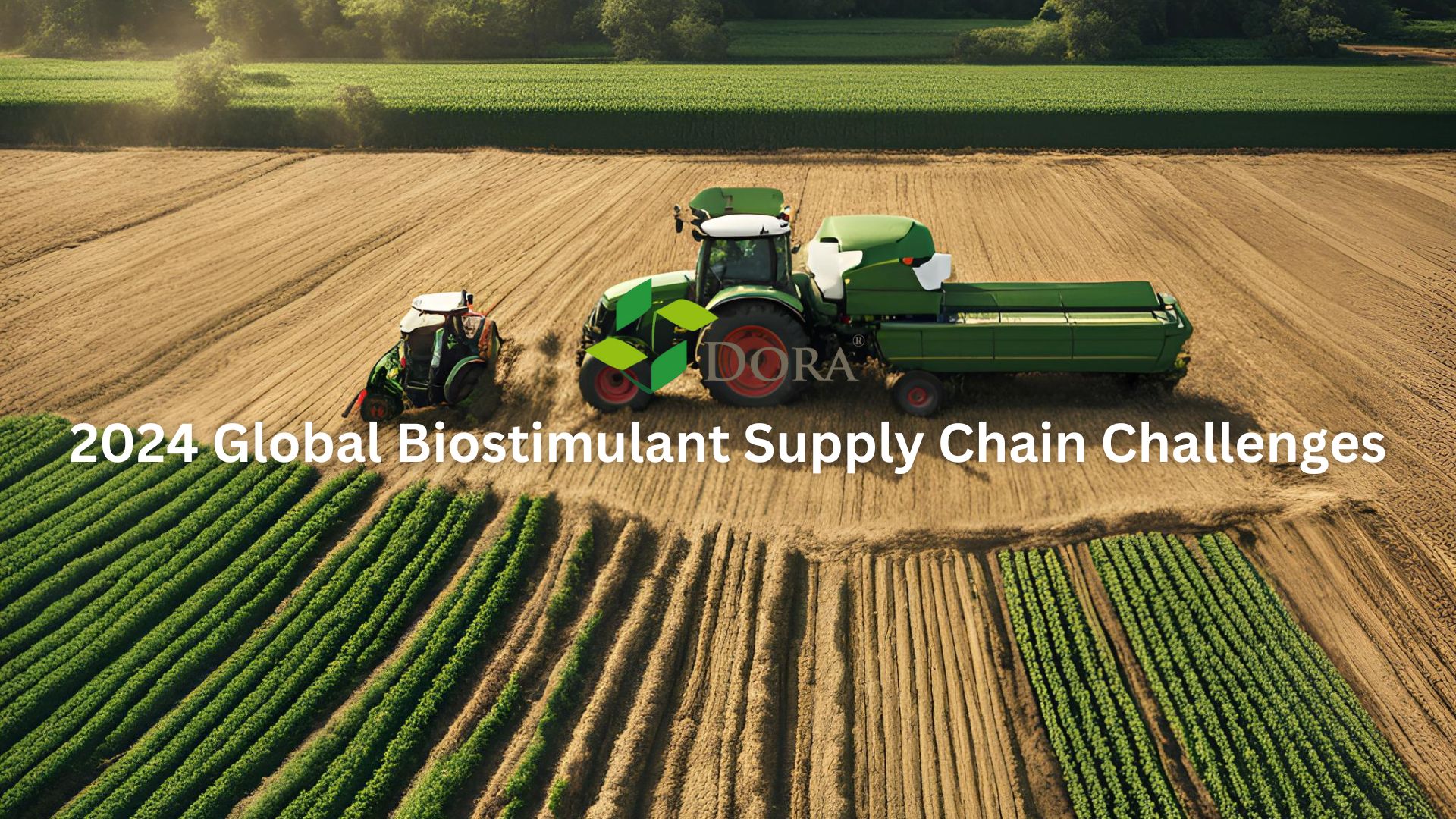 Challenges & Responses To The Global Biostimulant Supply Chain In ...