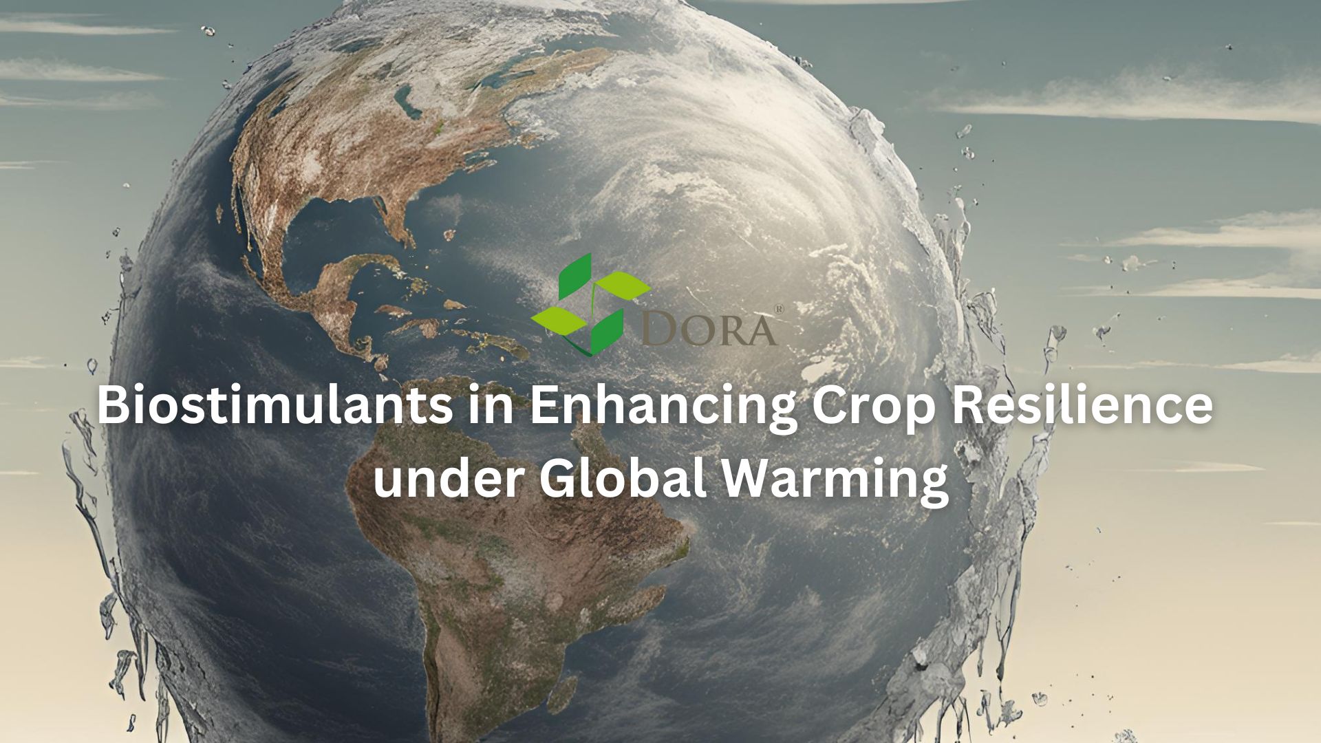 The Role of Biostimulants in Enhancing Crop Resilience under Global ...
