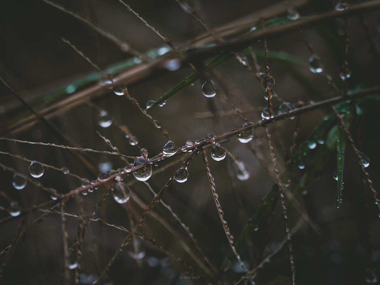 Enhance Agricultural Drought Resistance And Water Conservation With ...