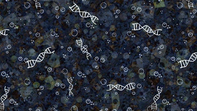 Phytoglobin 1 Enhances Nitrogen Use Efficiency in Rice - Dora Agri-Tech